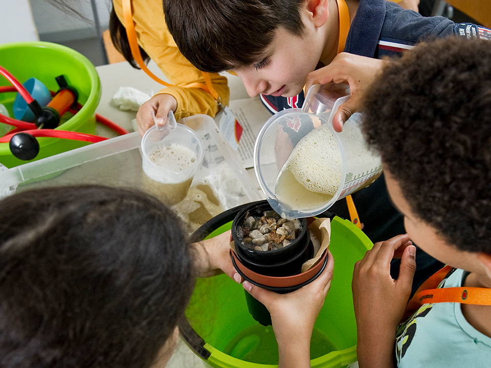 Startseite | Das blaue Klassenzimmer